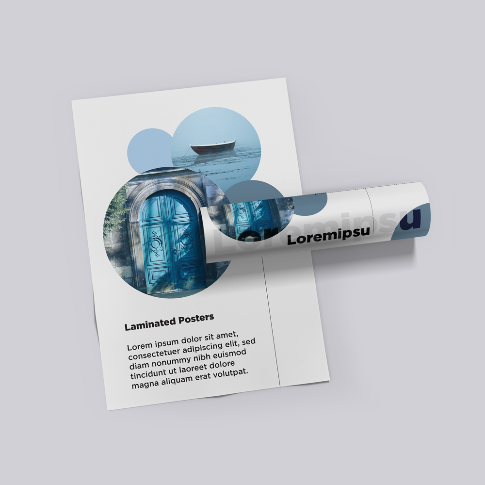 Laminated Synthetic Poster – One Display